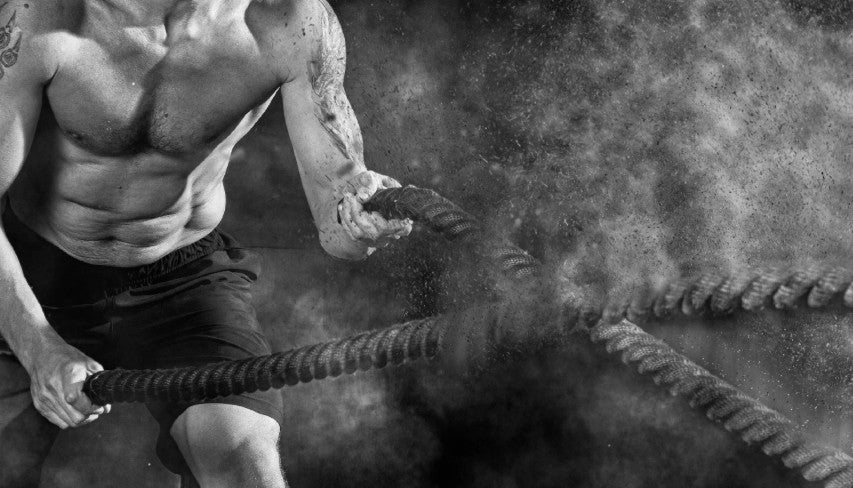 Protein – R+D Body