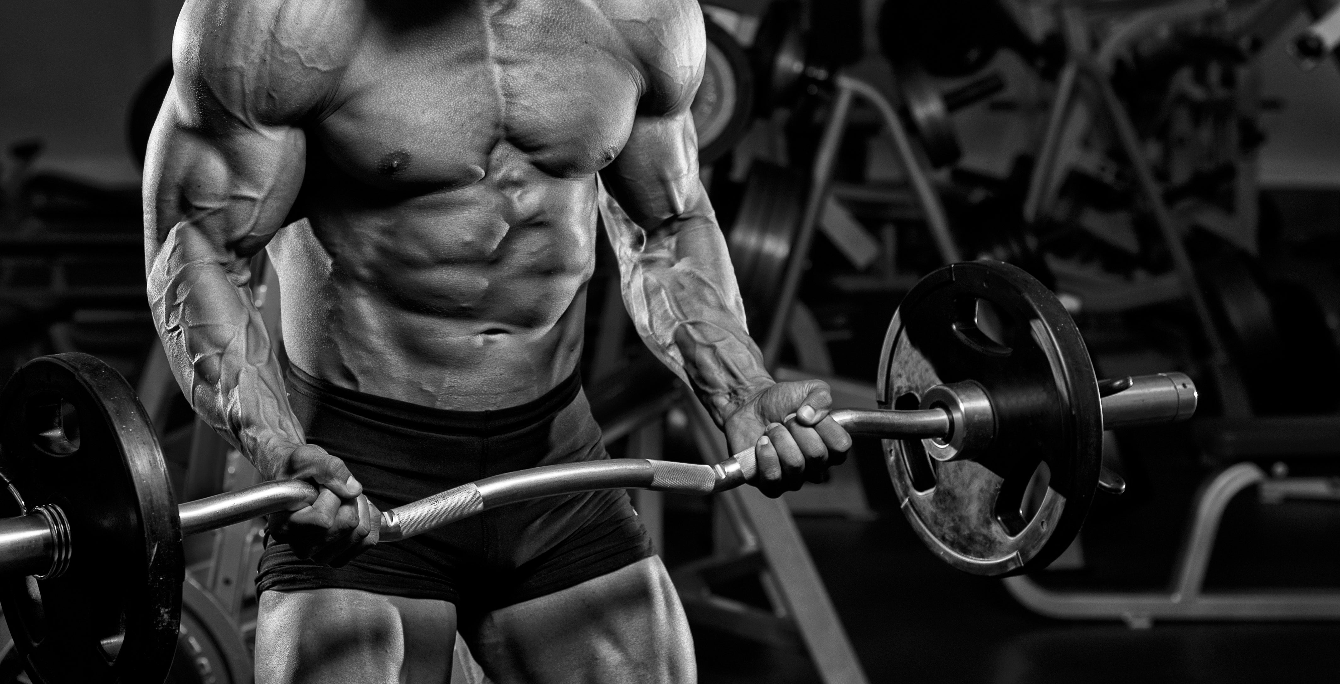 Build Muscle – R+D Body